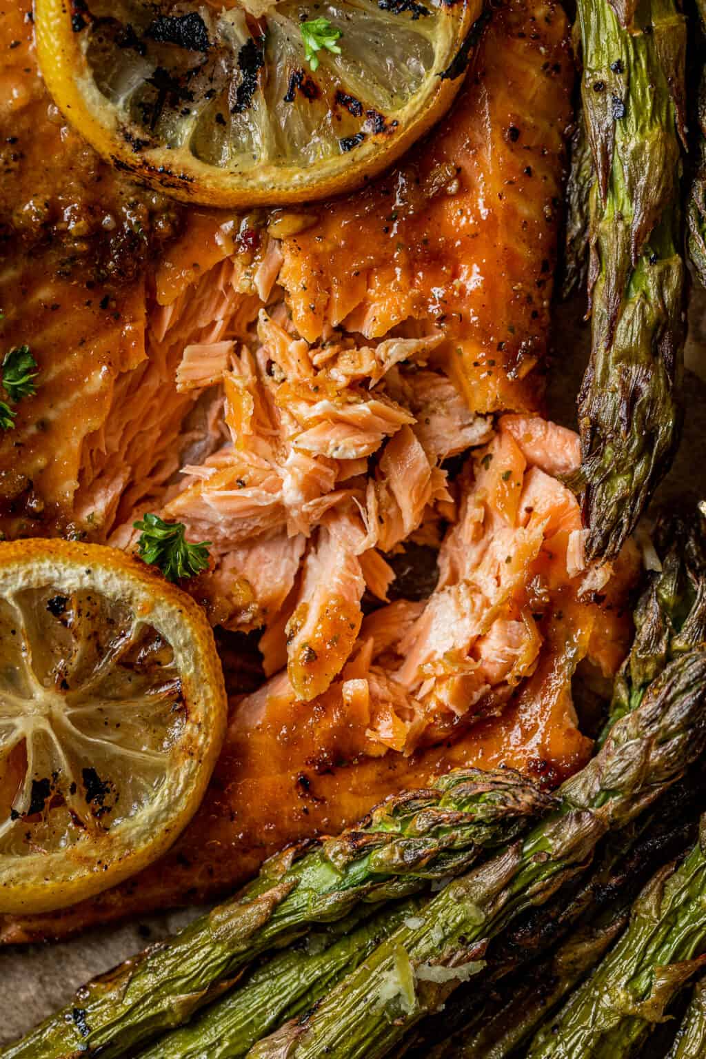 Traeger Grilled Salmon - The Primitive Dish
