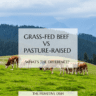 Grass-Fed Beef vs Pasture-Raised: What's the difference? - The ...